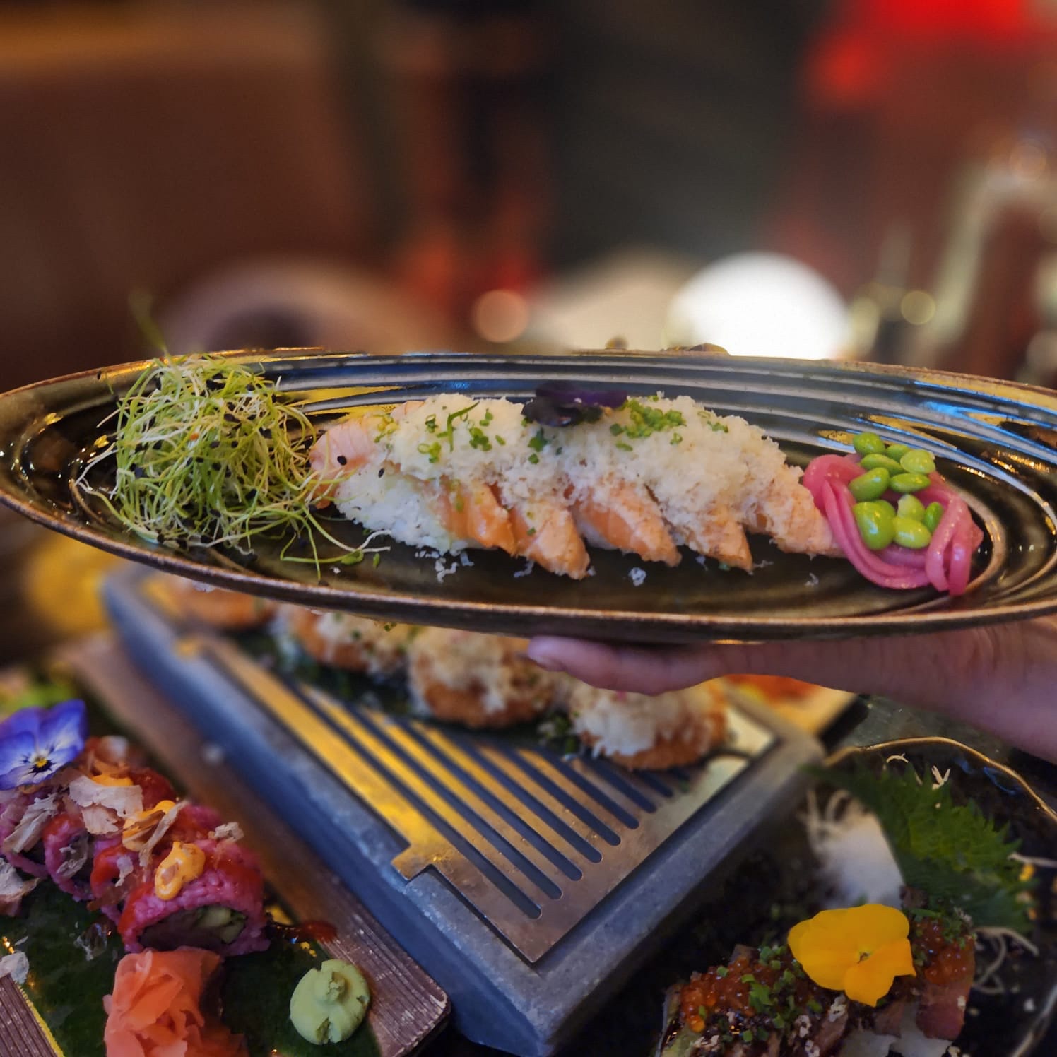 Evolushi Plus, Göteborg – Livet är att resa!